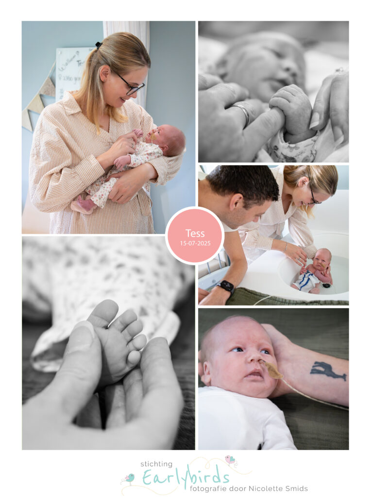 Tess — Stichting Earlybirds